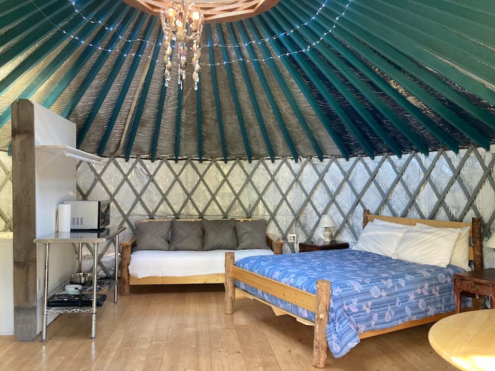 Beachroadhouse Yurt Living - Haines, AK