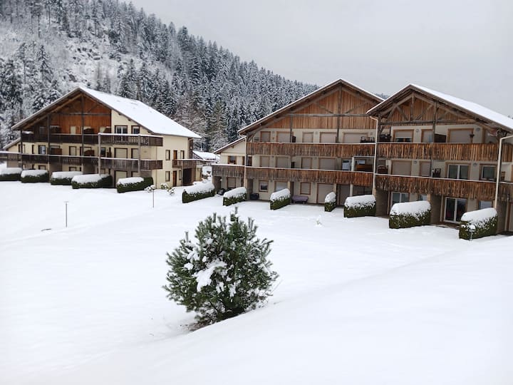 Appartement 4 Pers Gerardmer - Gérardmer