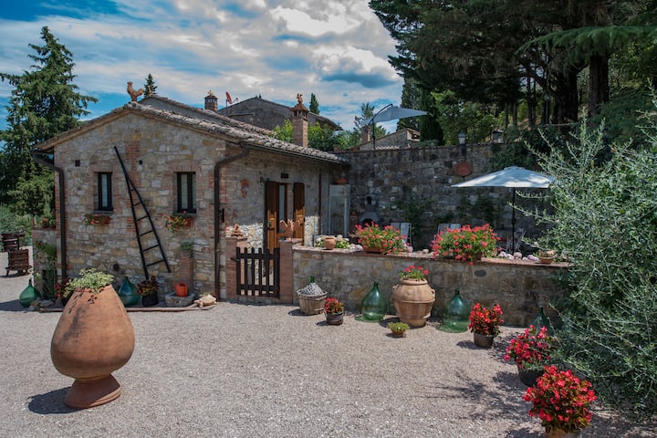 Brunello - Borgo Il Bonagino - Radda in Chianti