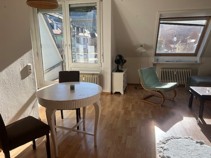 Wohnung In Stadtmitte Mit Waldblick - Freiburg im Breisgau