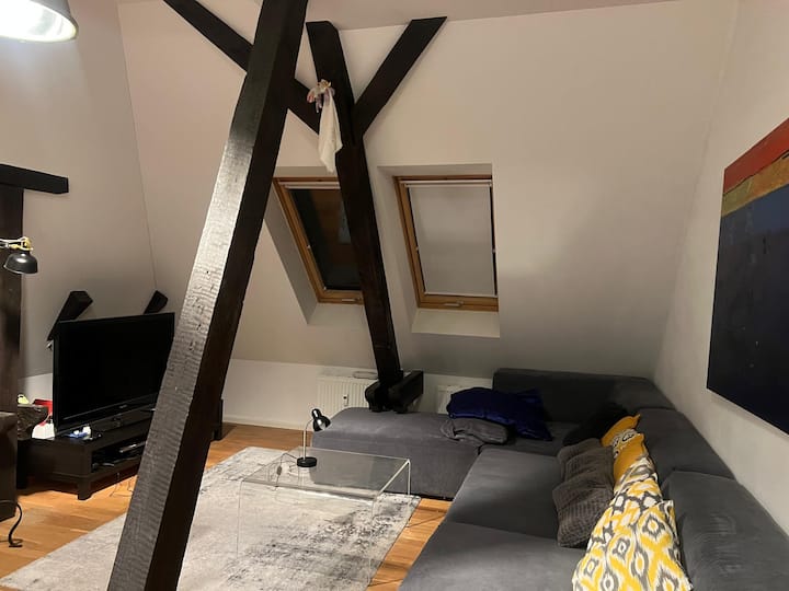 1 Zimmer/ Rooms Potsdam Babelsberg - Potsdam