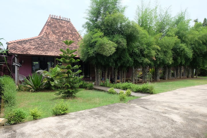 Belle Maison Au Bord De La Mer Jepara - Jepara