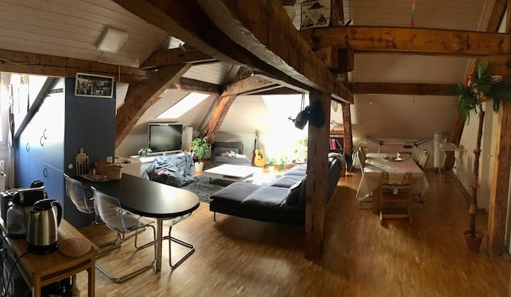 Chambre Privée Au Coeur De Lausanne - Lausanne