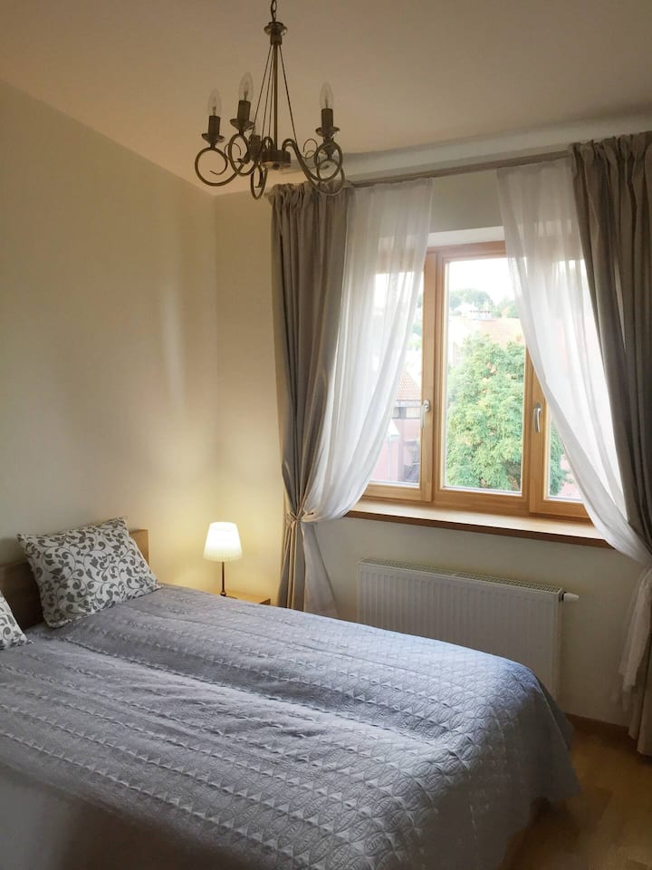 Nemunas Street Apartment - Kaunas
