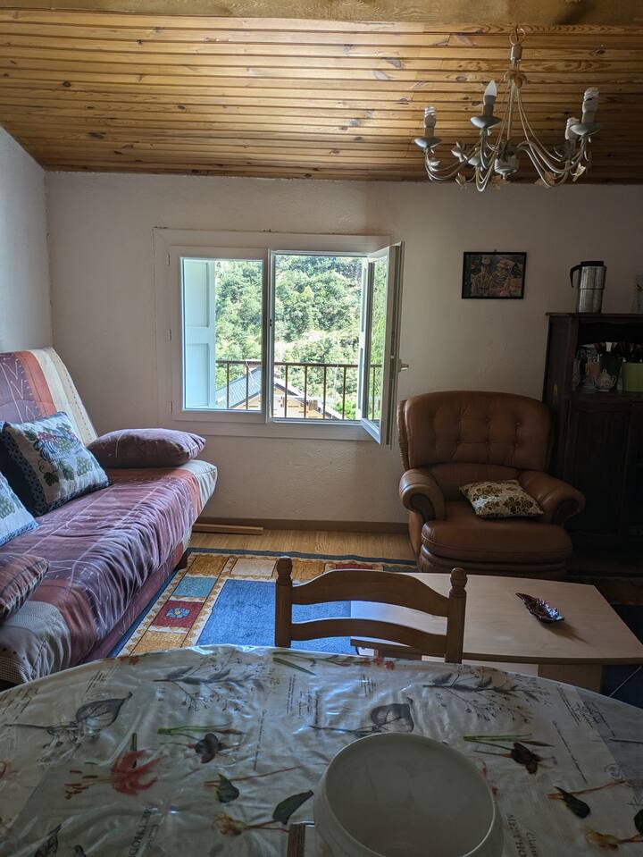 Appartement Fontpédrouse Au Calme, Spacieux - Setcases