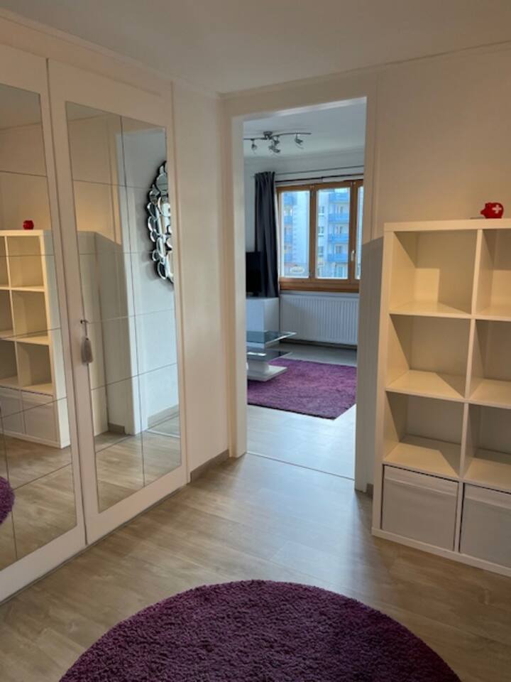 Superbe Cosy Appart. Au Centre De Gland-sous-gare - Yvoire