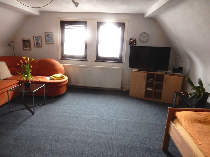 Großes Gästezimmer - Mit Normalem Kühlschrank - Ludwigsburg