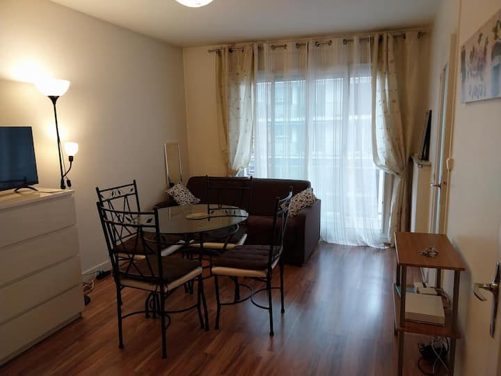 Charmant Studio Proche De Paris (20mn En Rer A) - Saint-Maur-des-Fossés