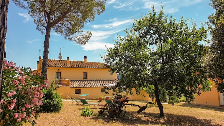 Séjour Toscan Sur Les Collines – Podere Le Tombe - Toscane