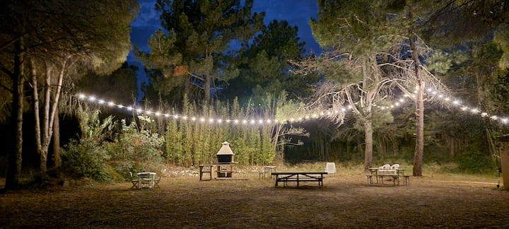 Appartement Dans Un Parc De Pins Avec Piscine - C6 - Collioure