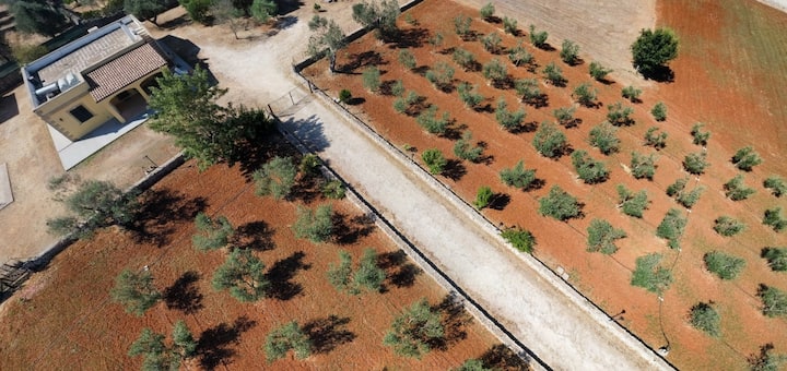 Casa Le Acacie - Immersa Nel Verde A Tricase - Tricase