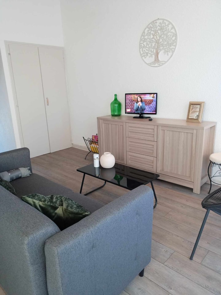 Au Pied Des Dunes Oceanes! Les Sables D'or N°1 - Messanges