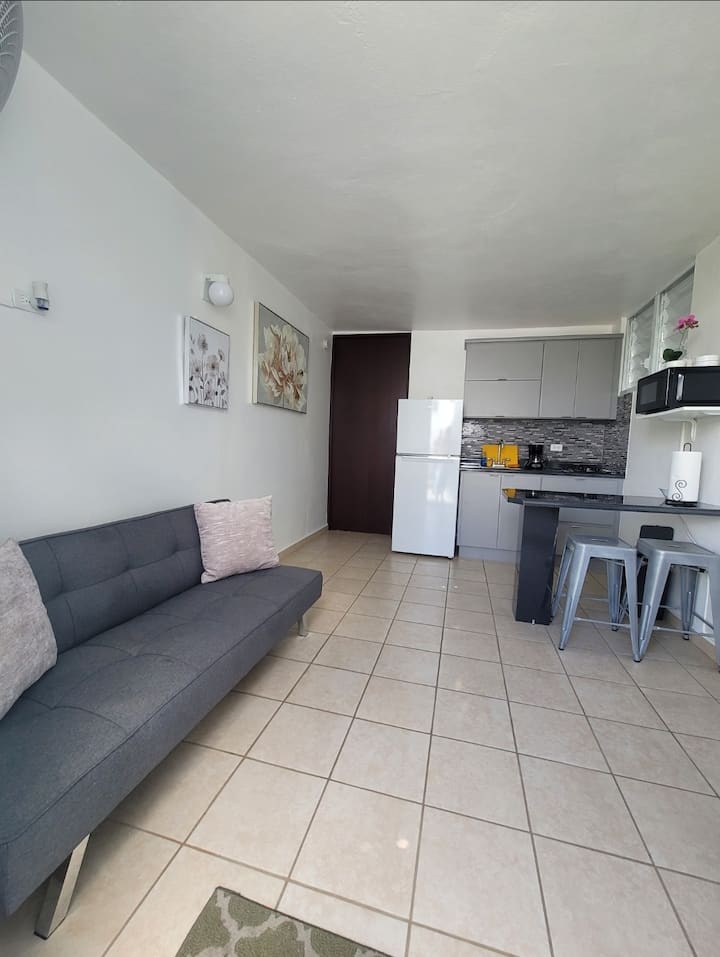 Apart 1 Hab  A/c Cocina Baño Ave Degetau Caguas - Caguas