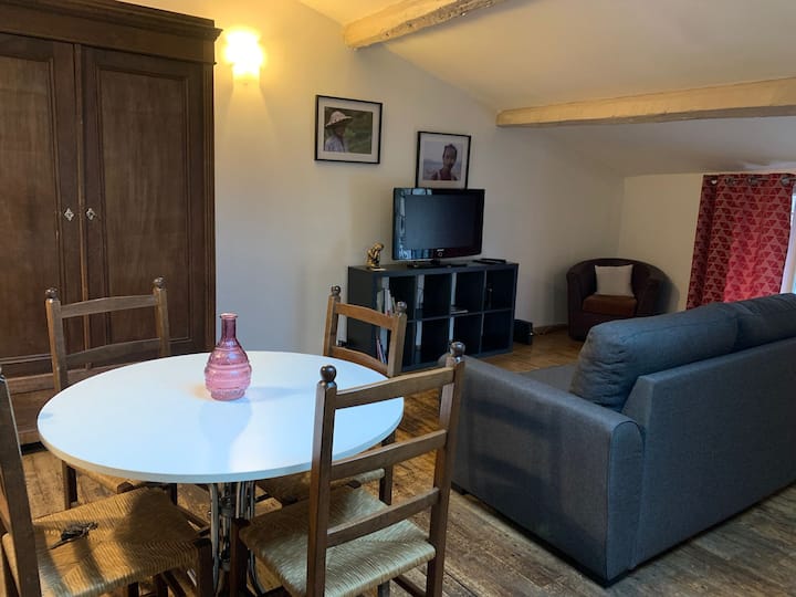 Appartement Cosy à 5 Min à Pied Du Centre Ville - Arles