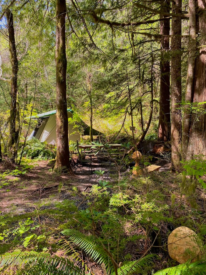 Sol Duc Rainforest Cabin Tent Site 6 - Lake Crescent, WA