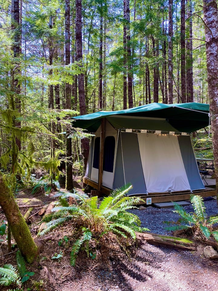 Sol Duc Rainforest Retreat Glamping Cabin Tent 2 - Lake Crescent, WA