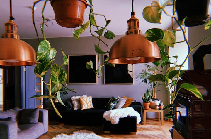 Quiet Old Town Apartment With Plants - Tallinn