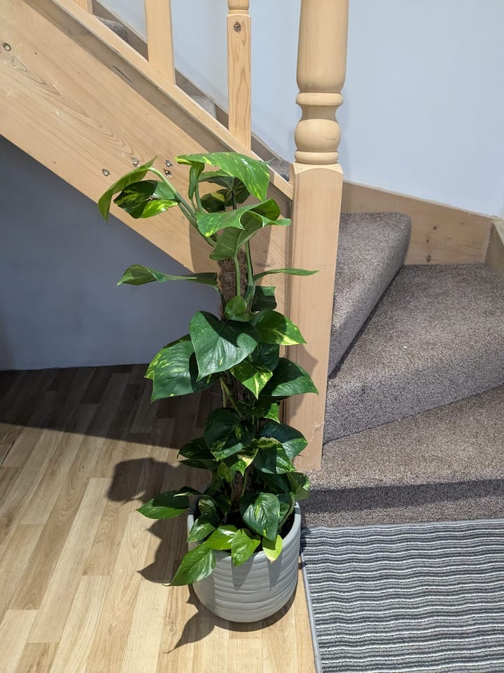 Budget & Nice Near The Centre Ensuite Bedroom - Édimbourg