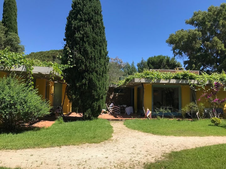Vaste Maison D'architecte Avec Jardin Arboré - Porquerolles