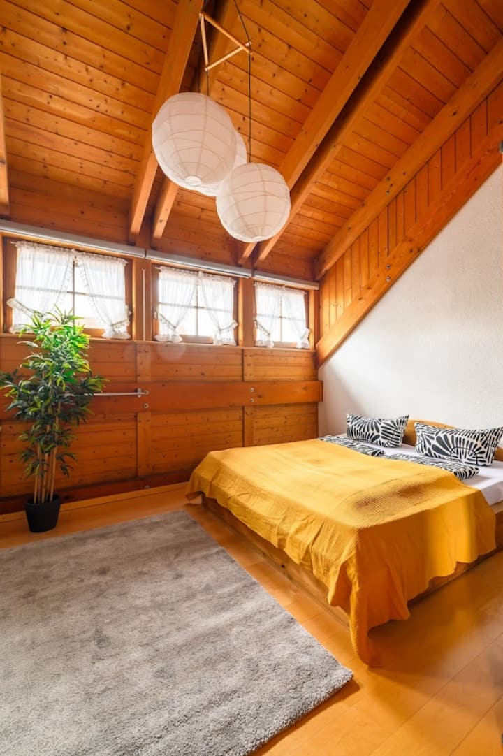 Schwarzwaldhaus Sauter - Rust