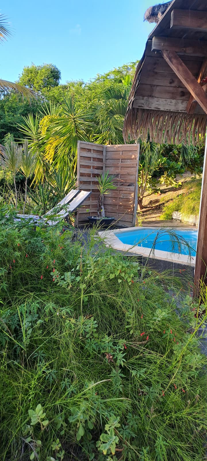 Rez De Jardin "Flamboyant" Avec Piscine Privée - Marie-Galante