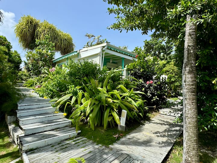 Bungalow Alpinia Sainte-anne - Guadeloupe