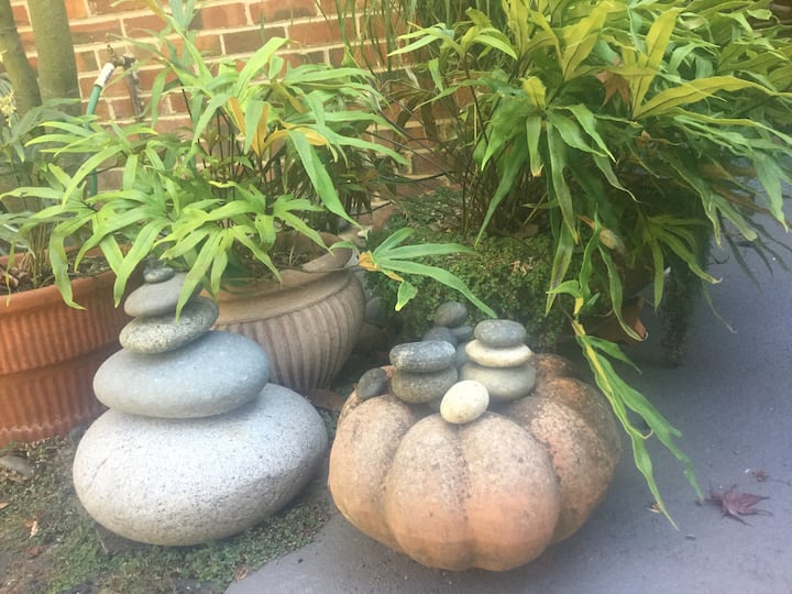 Hidden Gem - Berkeley
