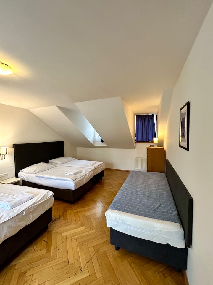 Spacious 3 Bedroom Flat In Prague Central - Praga