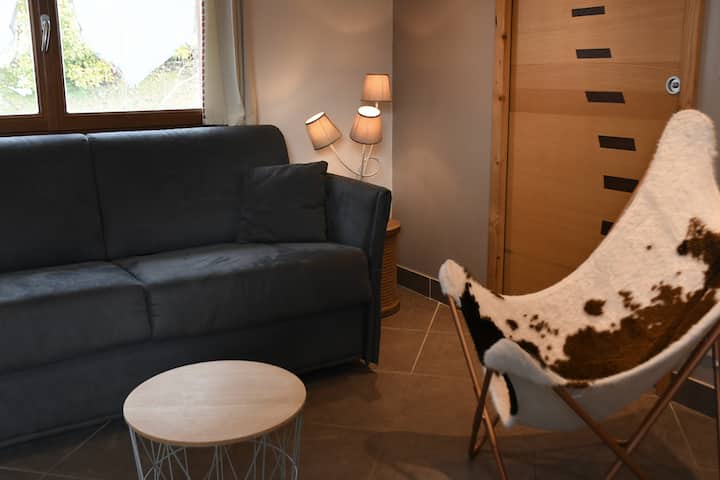 Charmant Petit Chalet Individuel Avec Terrasse - Morillon