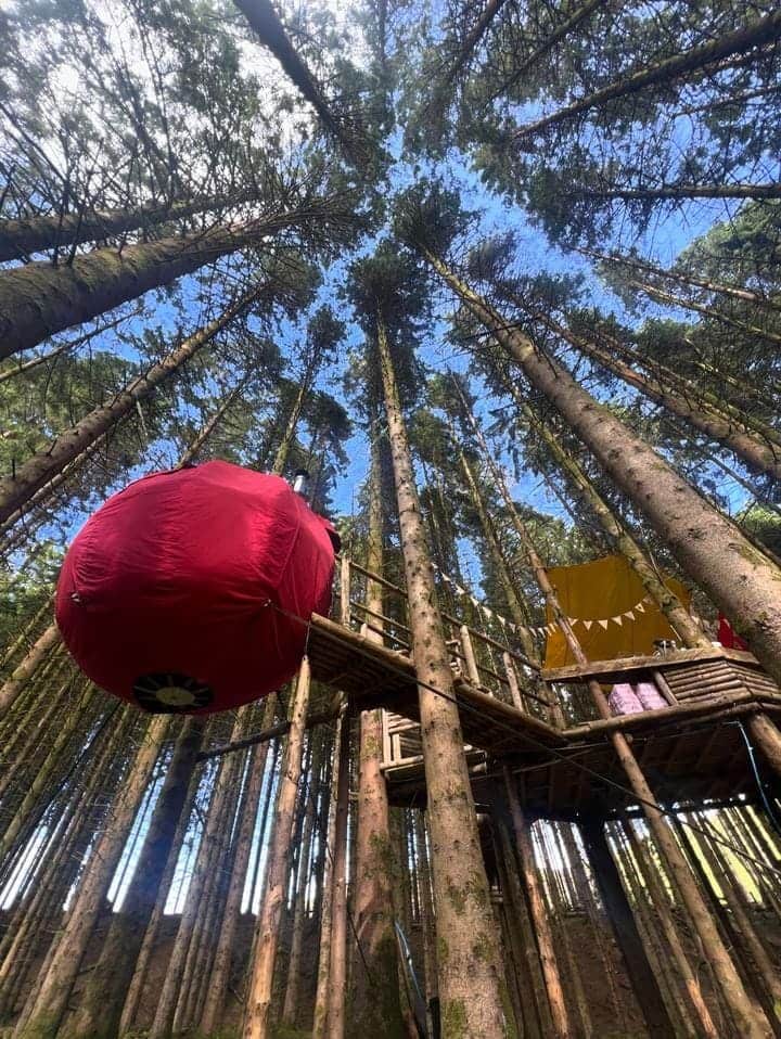Tree Tent Escape + Barrel Hot Tub In Forest Canopy - Builth Wells