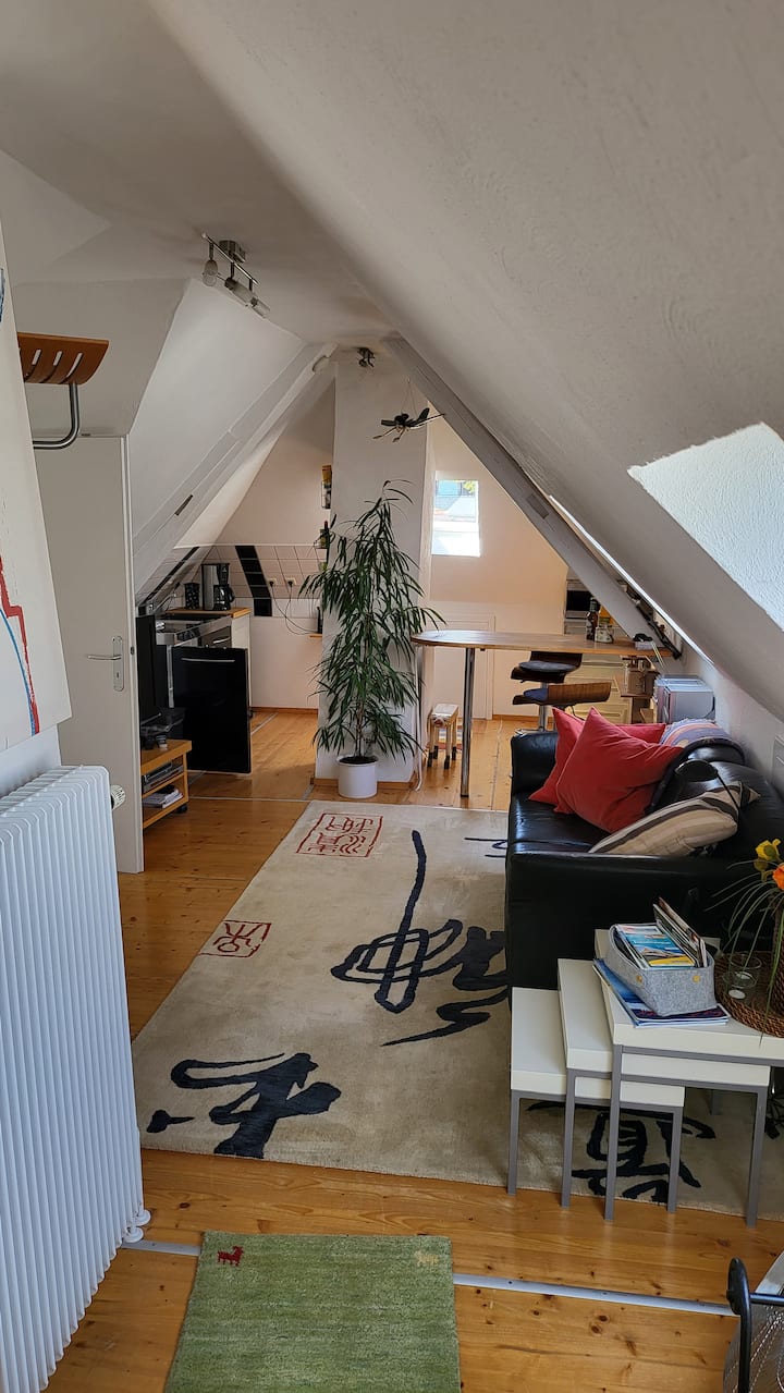 Generous Attic Apartment In Villa No.5 - Sipplingen