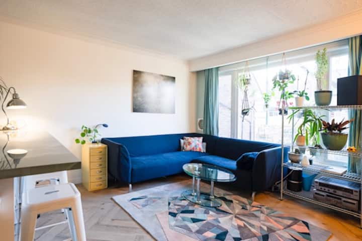 Two Bedroom Artsy Spacious Apartment In Parkdale - Lakeshore