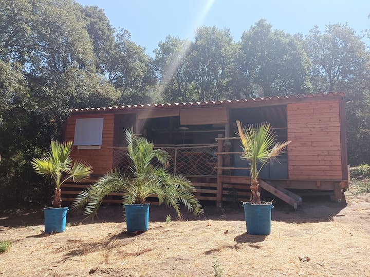 Airsteam  Climatisée Sous Les Chênes - Tizzano