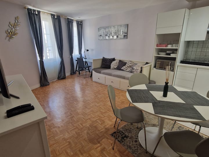 Appartement 2 Pièces Hyper Centre De Fontainebleau - バルビゾン