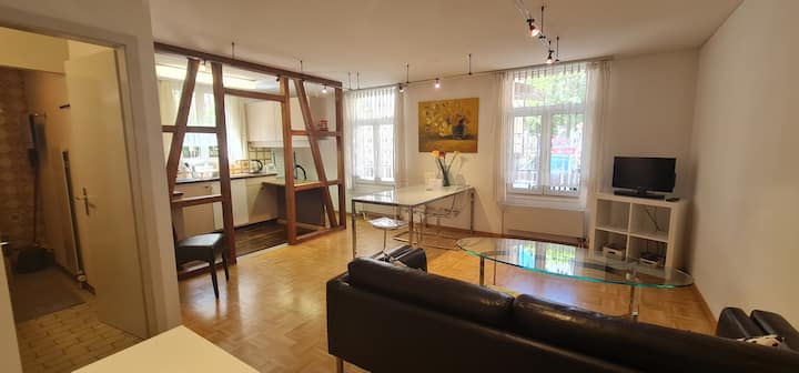 Central & Cosy: 2-room Apartment (1 Bedroom) - St. Gallen