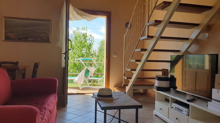 Grange Rustique En Toscane – Podere Le Tombe - 토스카나