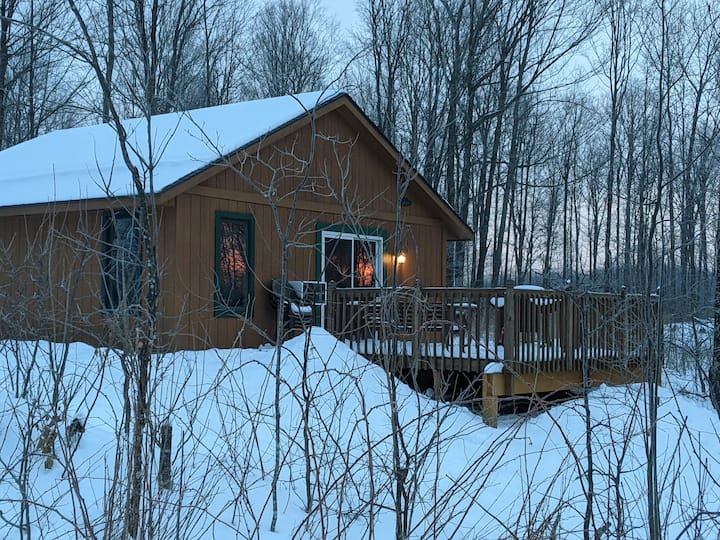 Star-gazing, Quiet Privacy In The Forest - Wisconsin