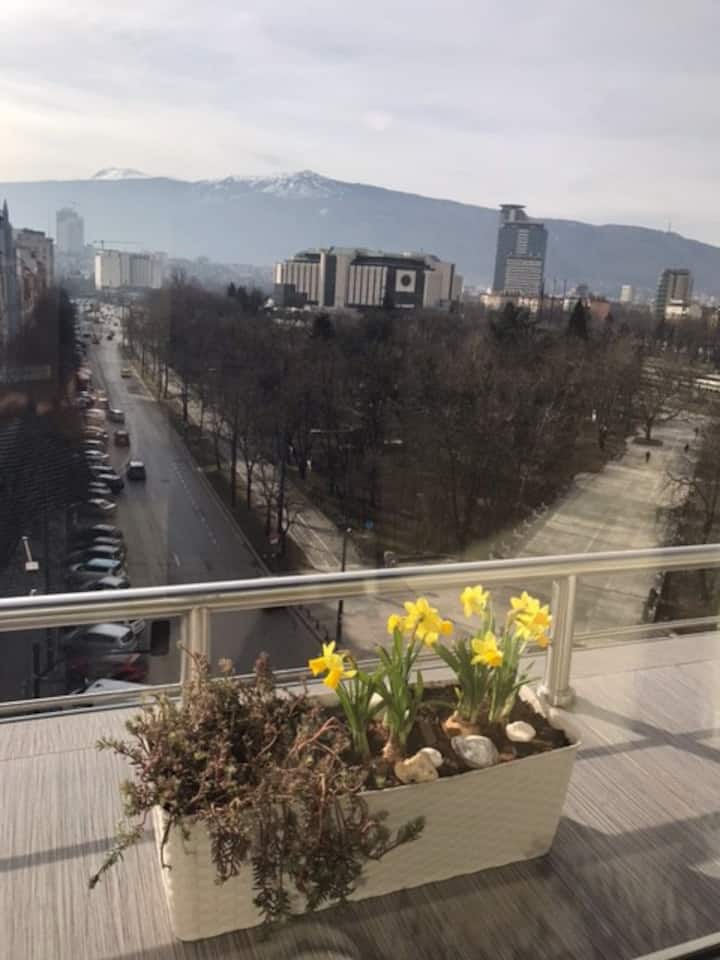 Studio In The Very Heart Of Sofia - Sofia