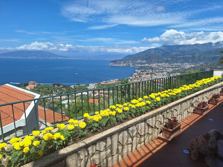Sorrento Amazing Sea View Private Terrace - Sorrento