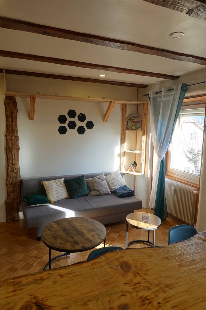 Morteau, Appartement Entier "Gentiane" 40 M2 - Morteau