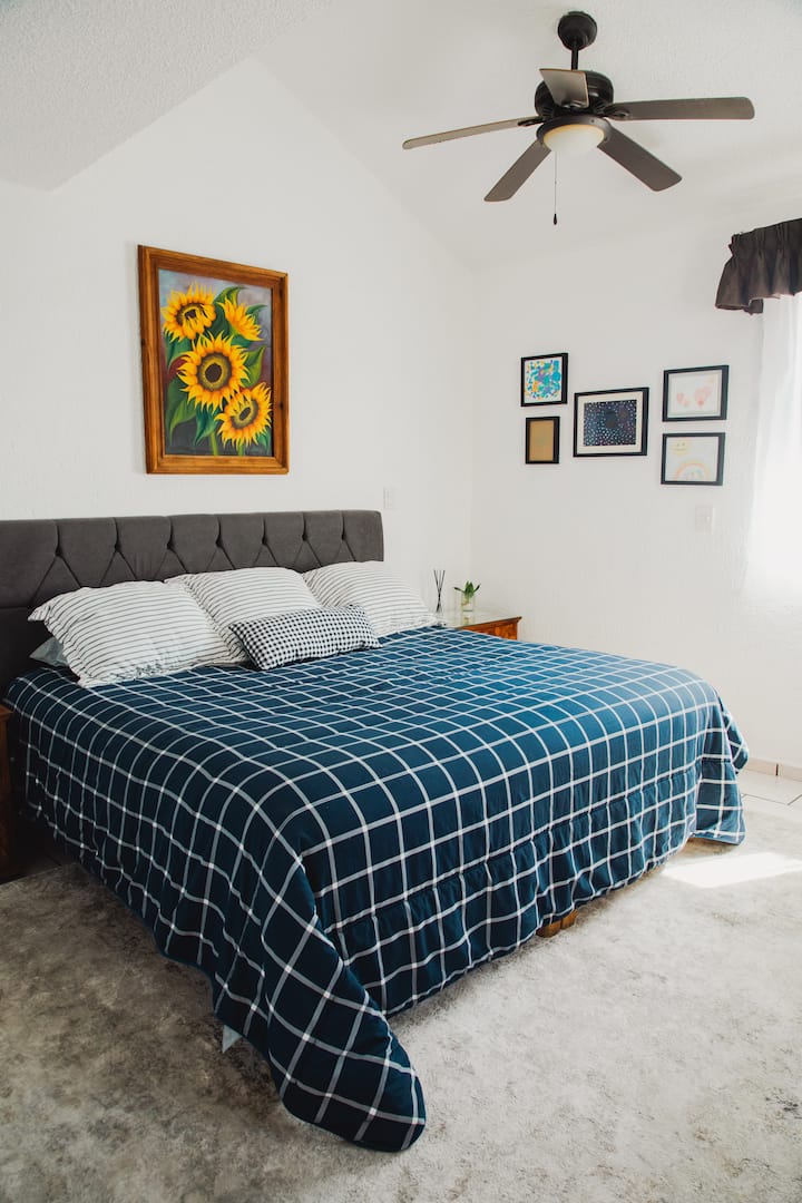 8 Guests, Downtown Homely Coffee & Garage Included - Morelia