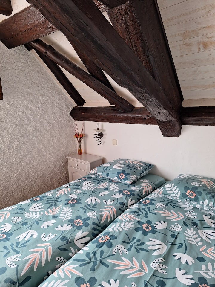 Chambre Floralie - Sarrebourg