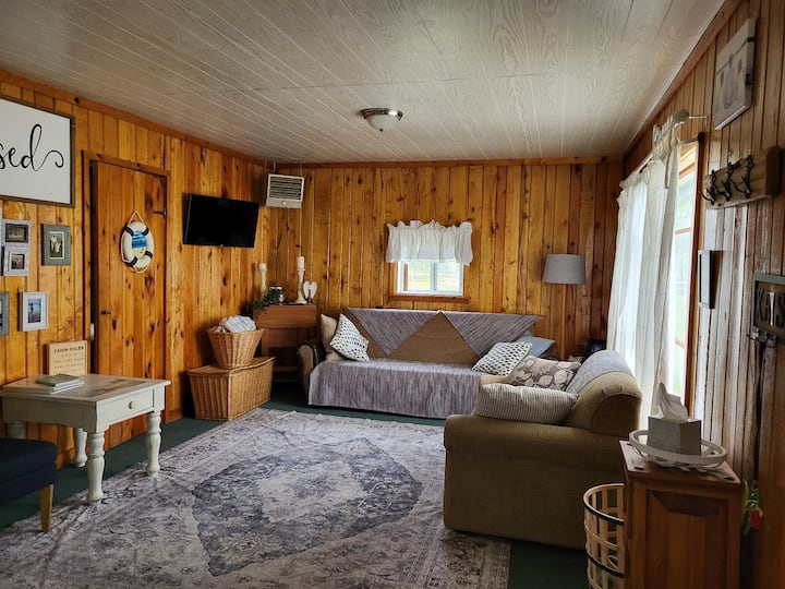 Cozy Waterfront Cottage 2 - Torch Lake, MI