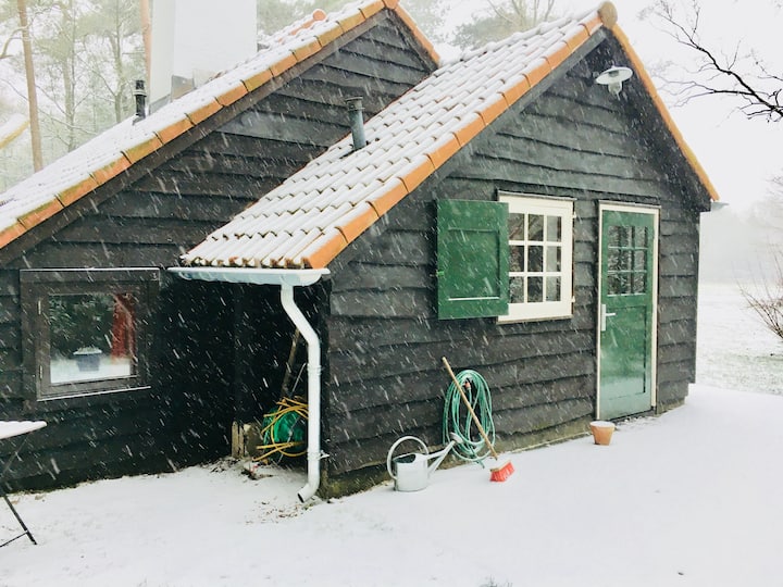 Cottage: A Cosy Cabin In The Woods - Nunspeet