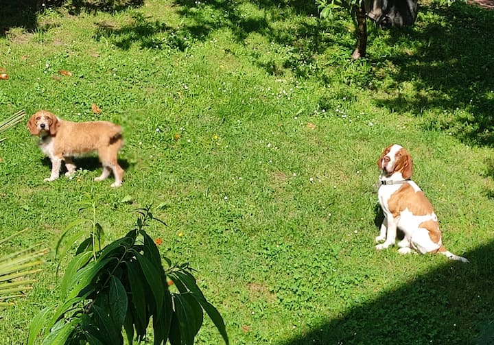 Hundred & Forty Nine - Provincia di Padova