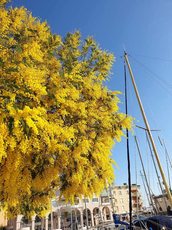 Belle Maison, Piscine, Jardin Entre Mer Et Forêt - Francja
