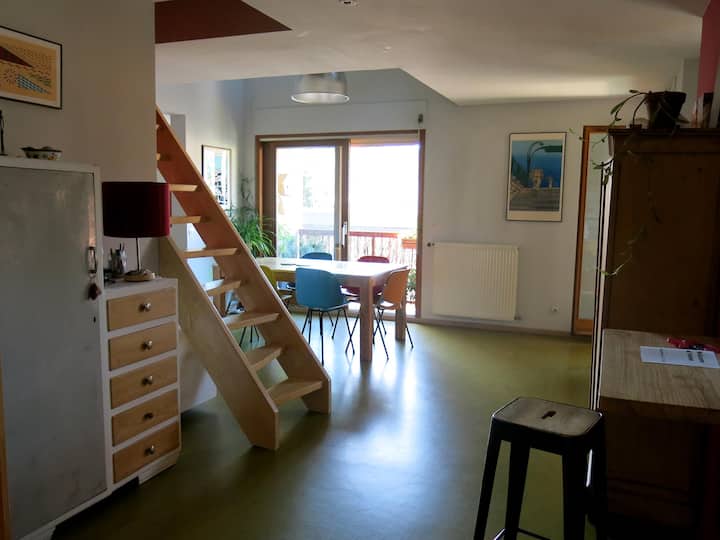 Grand Appartement Centre Ville - Chambéry
