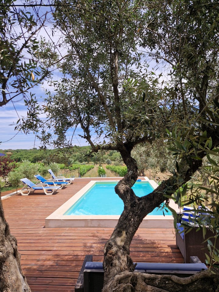 Monte Das Aranhas Villa - Private Pool - Vimieiro