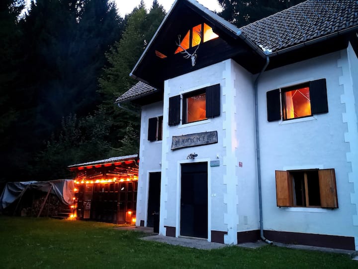 Ski Cottage - Slovenia