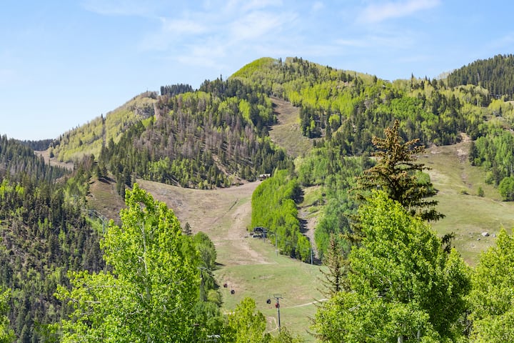 Downtown Sweeping Aspen Mt Views Contemporary - Aspen, CO
